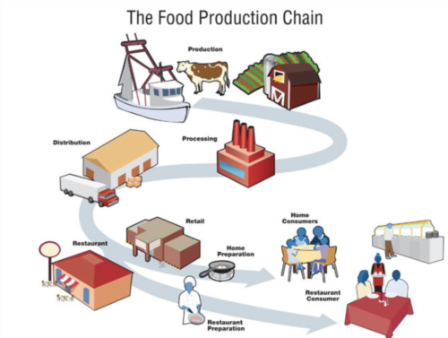 Food Safety Concerns in the Global Food Supply Chain – Hydra Rinse